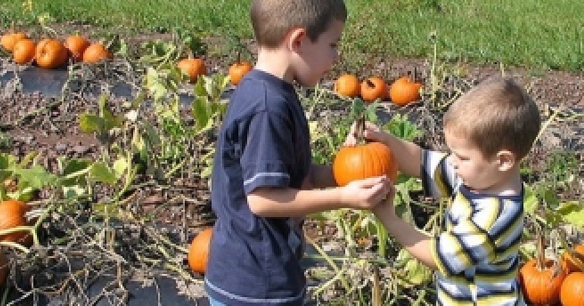 Celebrating Your Values on Halloween | Loyola Press