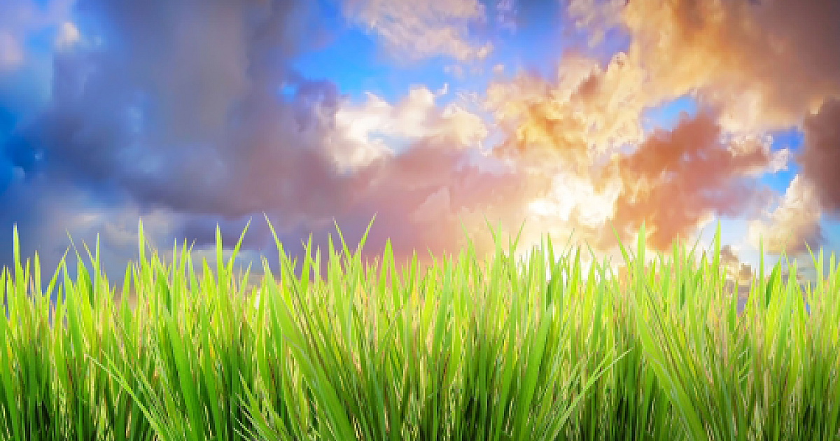Love Beyond Measure | Loyola Press