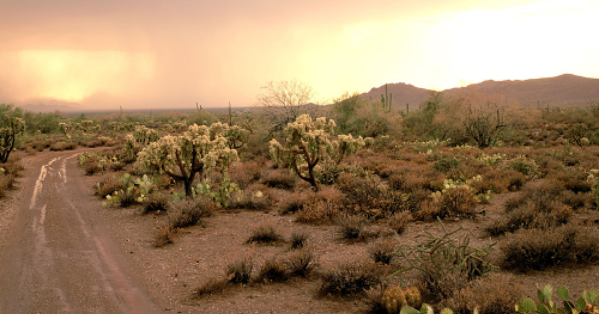 God Delivers | Loyola Press