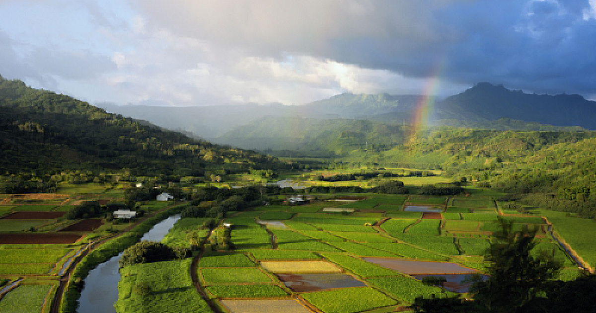 We Have Life in Jesus | Loyola Press