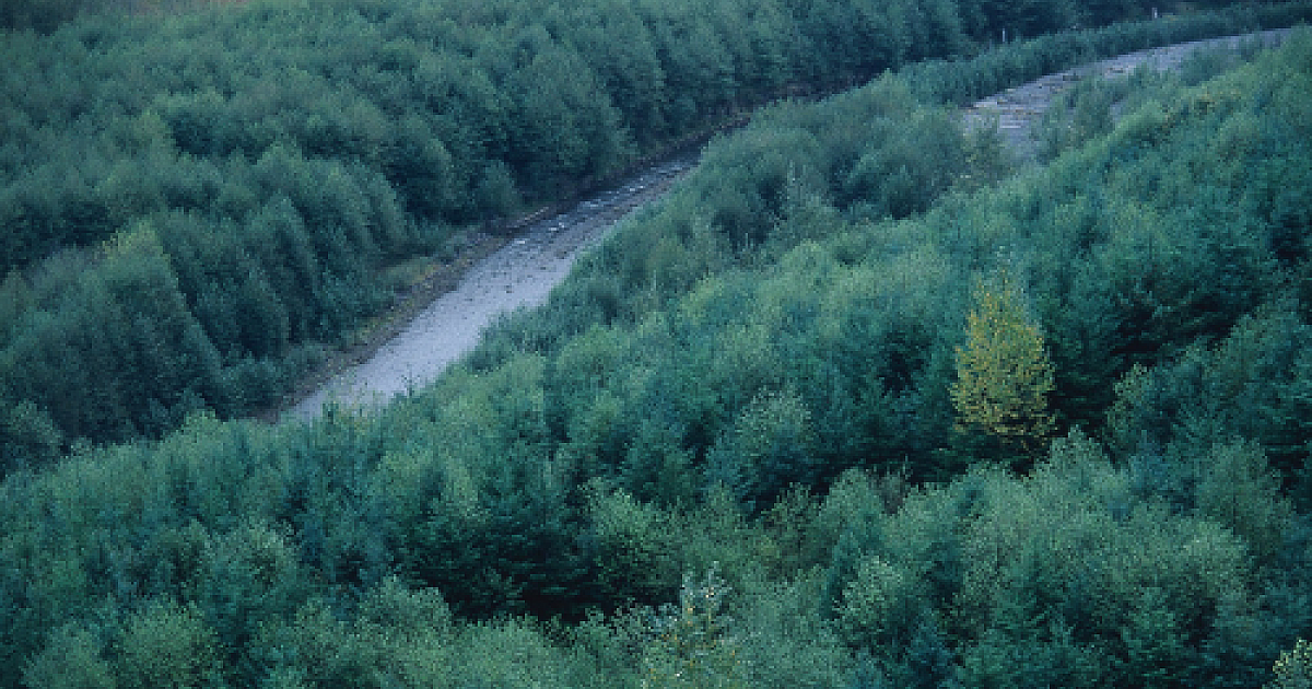 Yearning for Freedom | Loyola Press