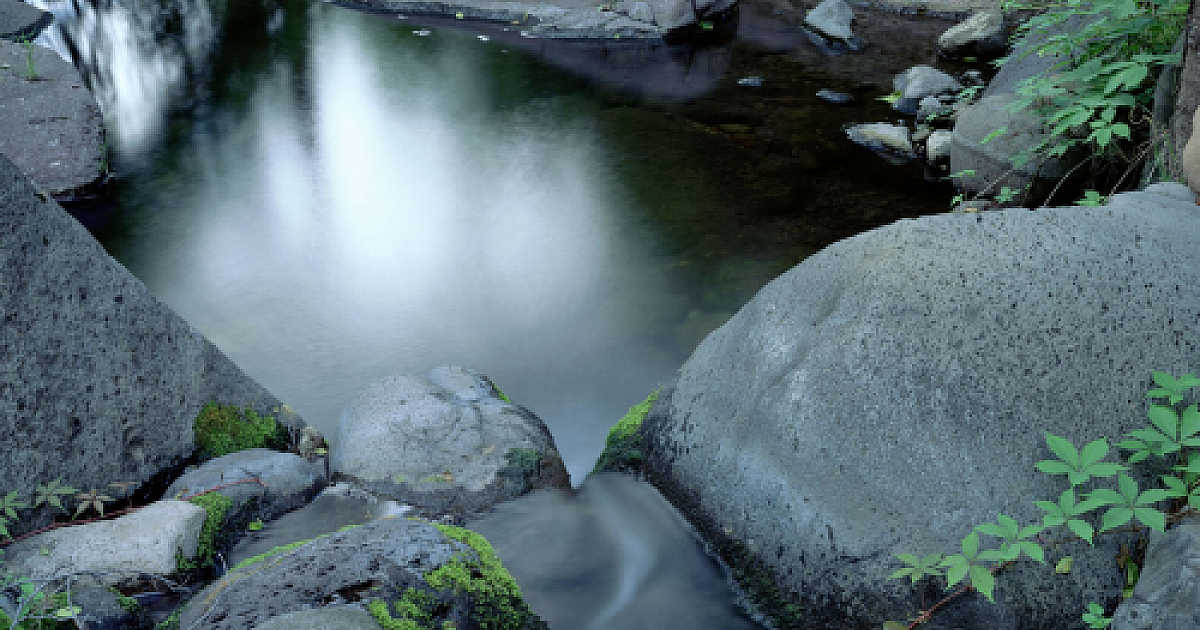 A Generous Heart | Loyola Press