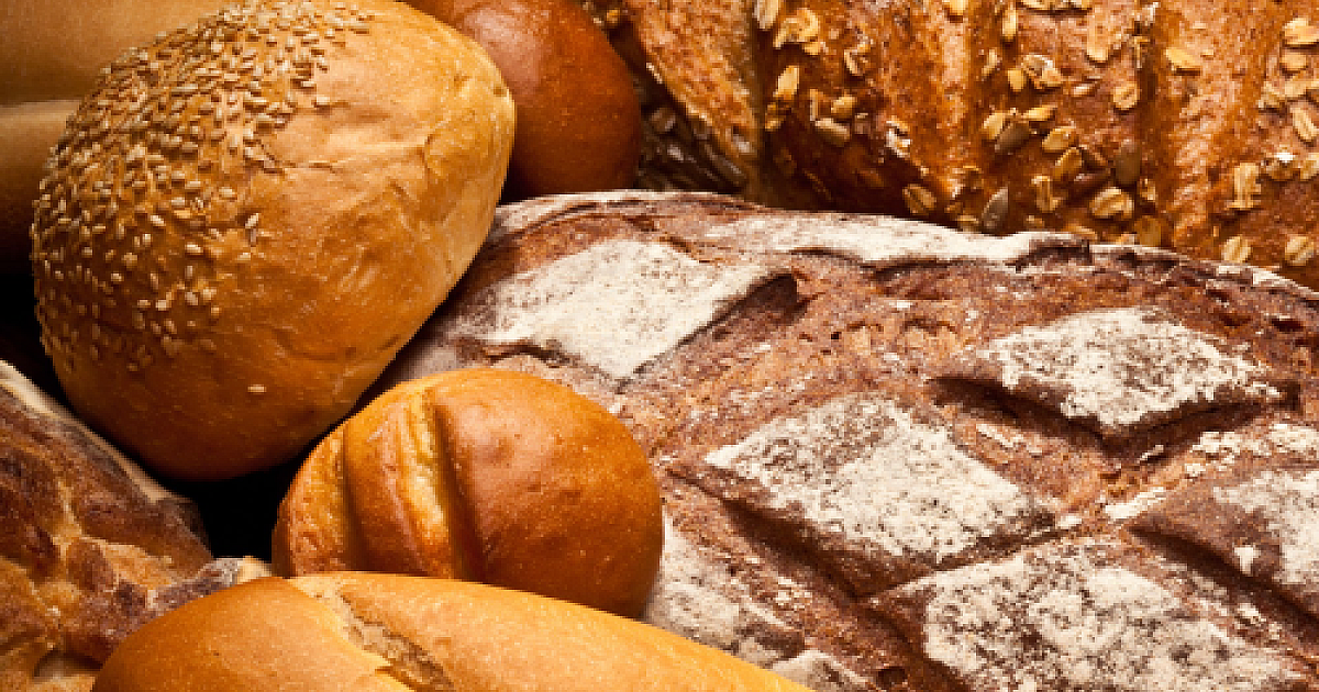 La fe en acción | Loyola Press